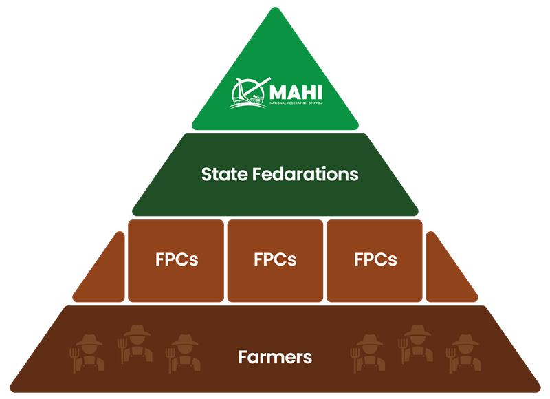 About us – Mahi – National Federation of FPCs